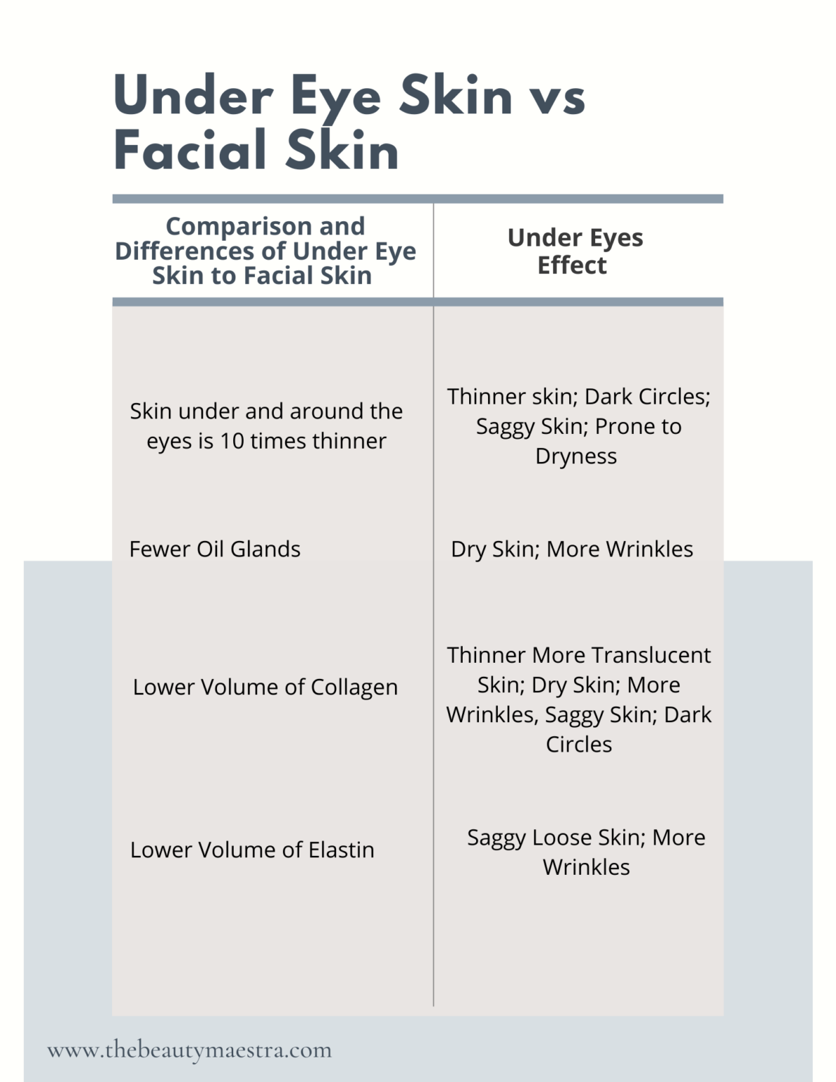 Under Eye Skin. 5 Steps to Taming and Concealing. - The Beauty Maestra